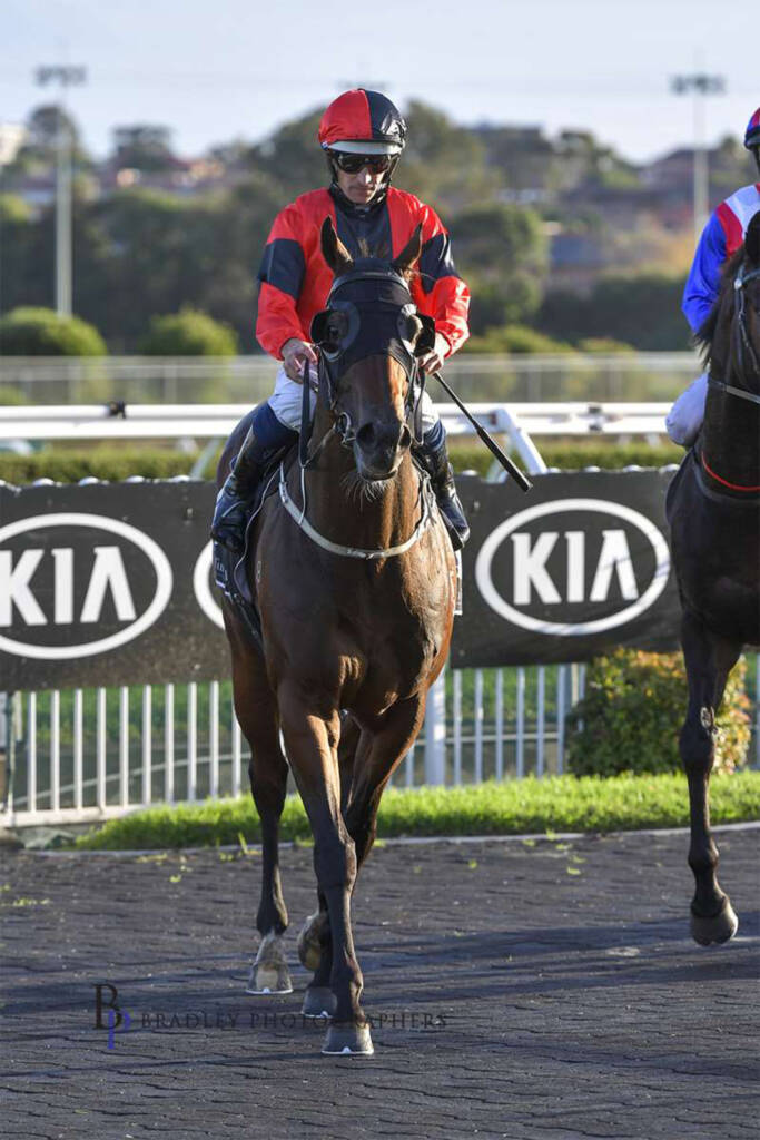 About Us - Big Bear Racing